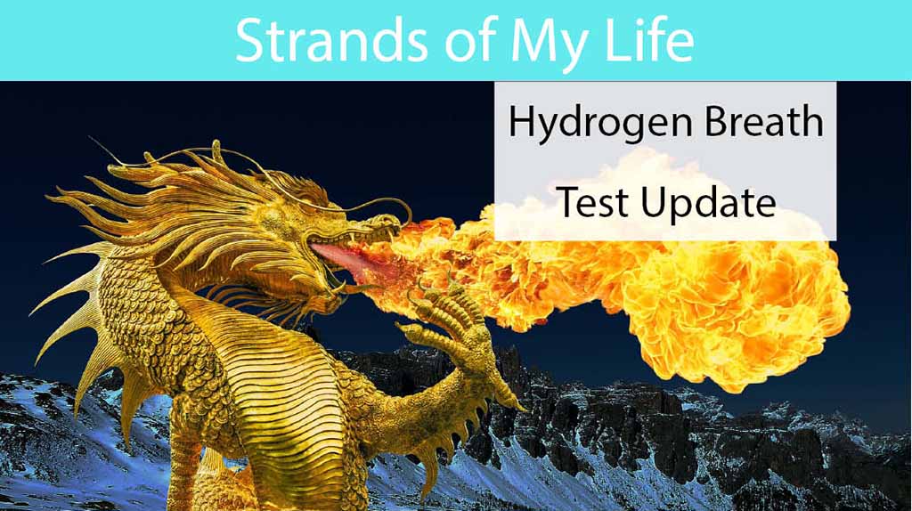 Hydrogen Breath Test Update • The Low Fodmap Diet